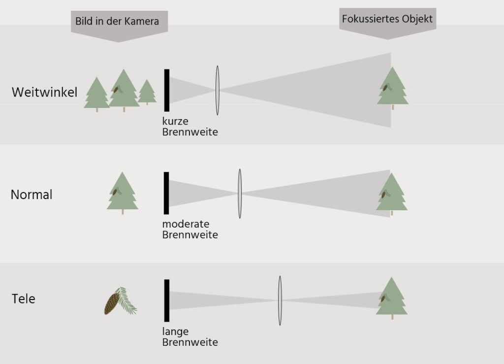 Fototipp-Serie: Nützliches Basic-Wissen rund um die Fotografie ...